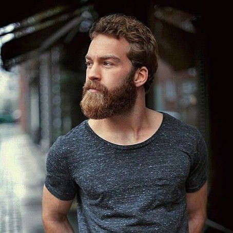 Ce modele de barba puteti sa adoptati in anul 2017?The Barber – Barber ...