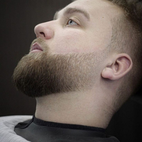 Modele Barba pentru 2025: Stiluri si Modele Barba in TendinteThe Barber ...